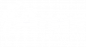Ares Security LTDA | Seguridad y Confianza
